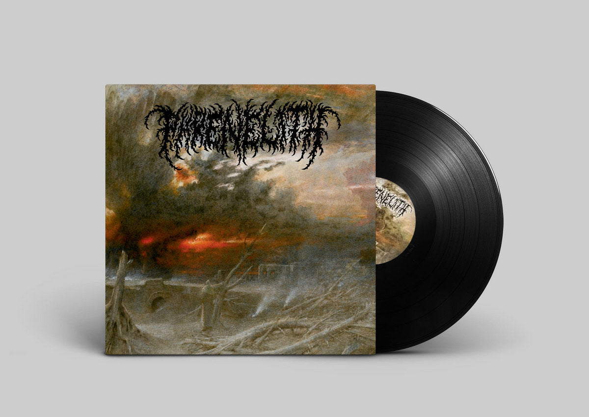 Phrenelith - Desolate Endscape - Vinyl LP – Blastbeats Vinyl